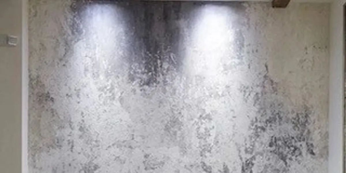 Expert Construction Defects Repair & Siding Removal & Replacement